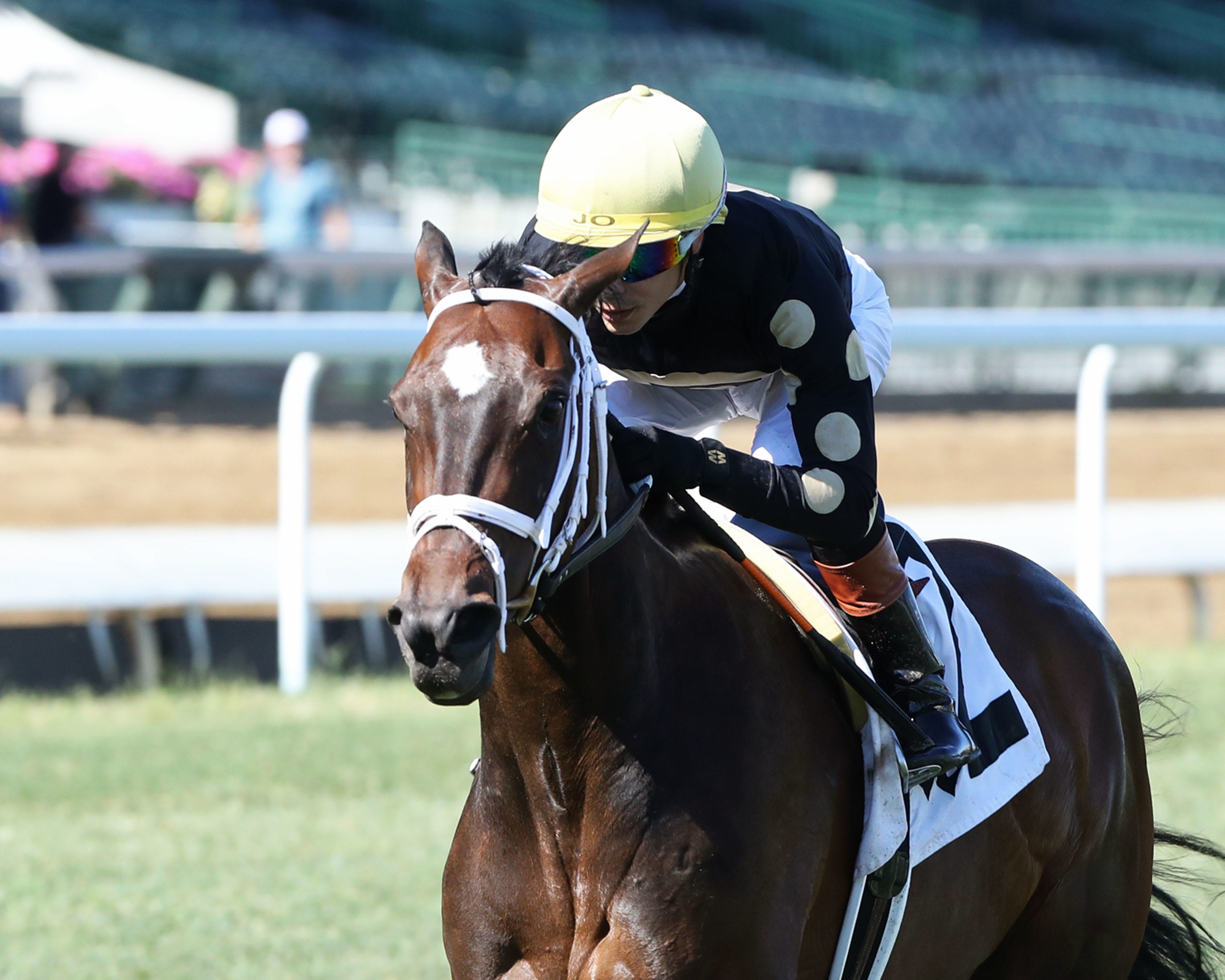 Stir Crazy tries to get one back for Ortiz, Maker in One Dreamer